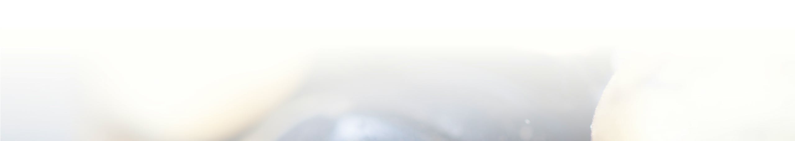 The Human Soul | The Life of the Spirit | What Bahá’ís Believe